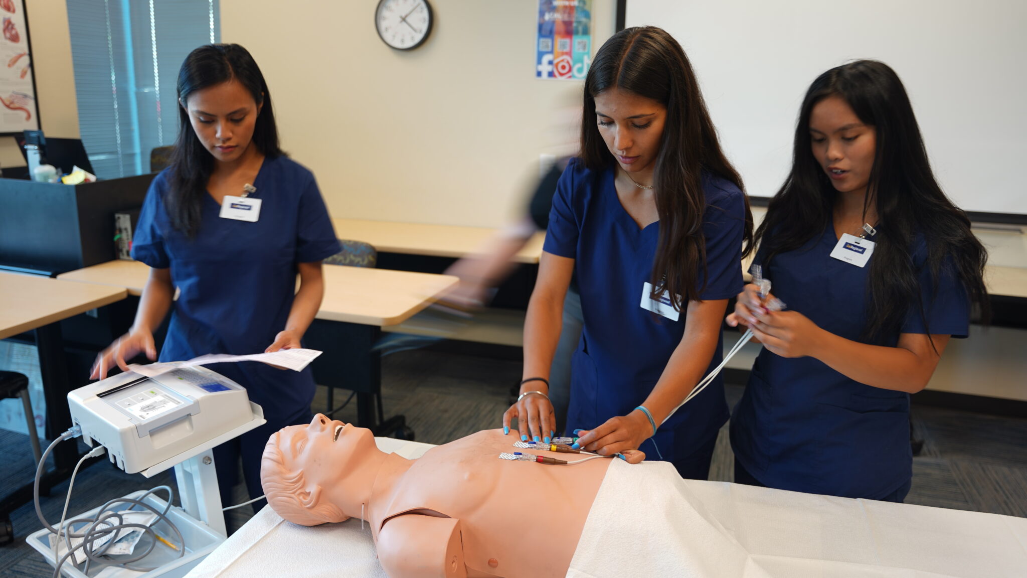 Top 5 Career Paths for Phlebotomy School Graduates